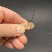 How to Wire-Wrap Crystals [Step by Step] | Studio 73 Designs